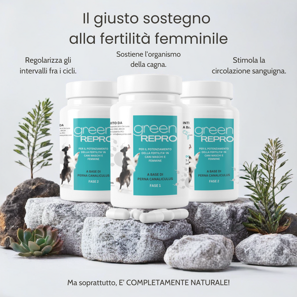 EasySires Green Repro